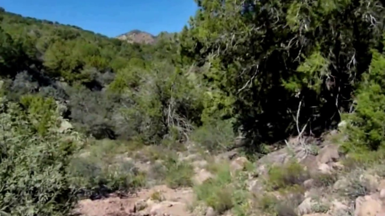 Haunted Canyon Trail #203 - Superstition Mountains - YouTube