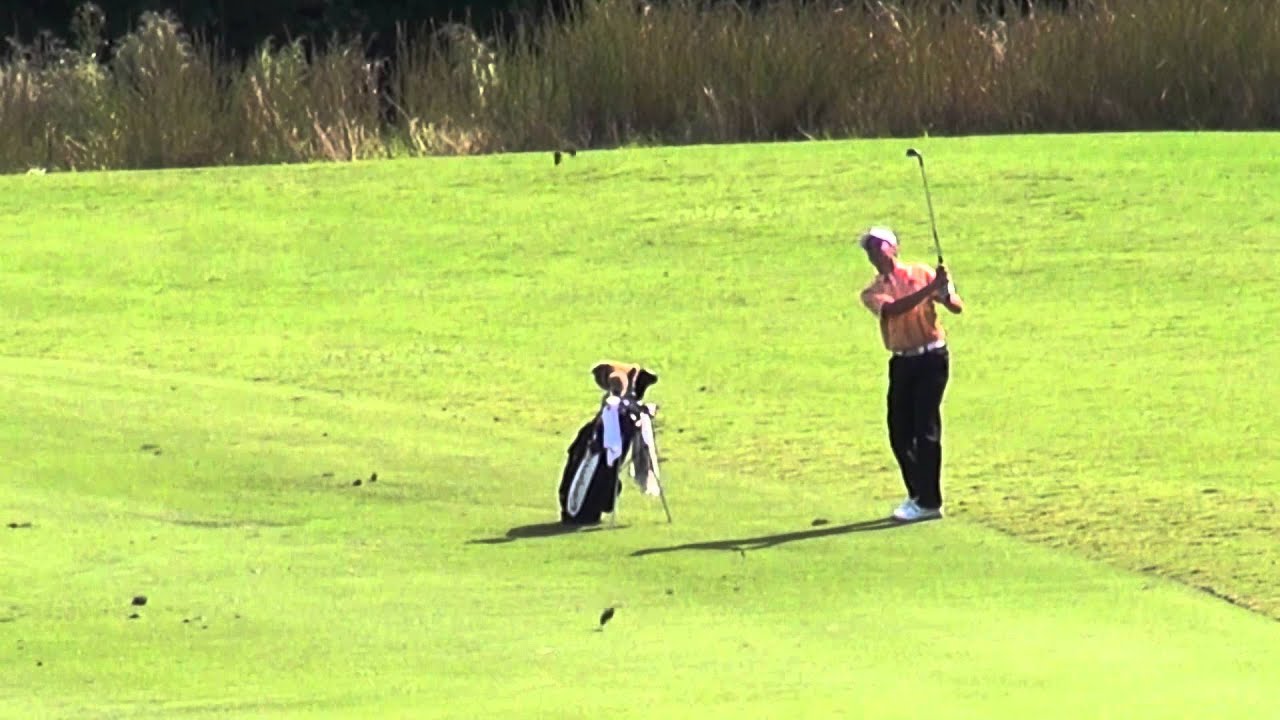 Mens Golf at NC State Wolfpack Intercollegiate - 10/7/14 - YouTube