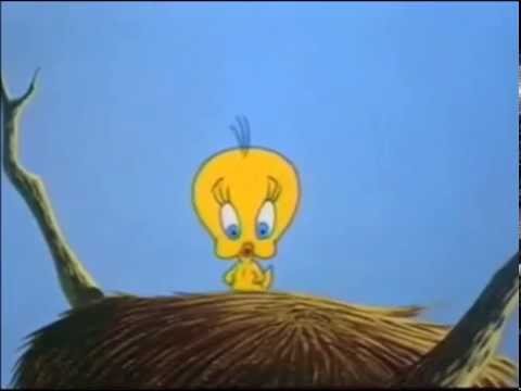 Bir Kedi Gördüm Sanki