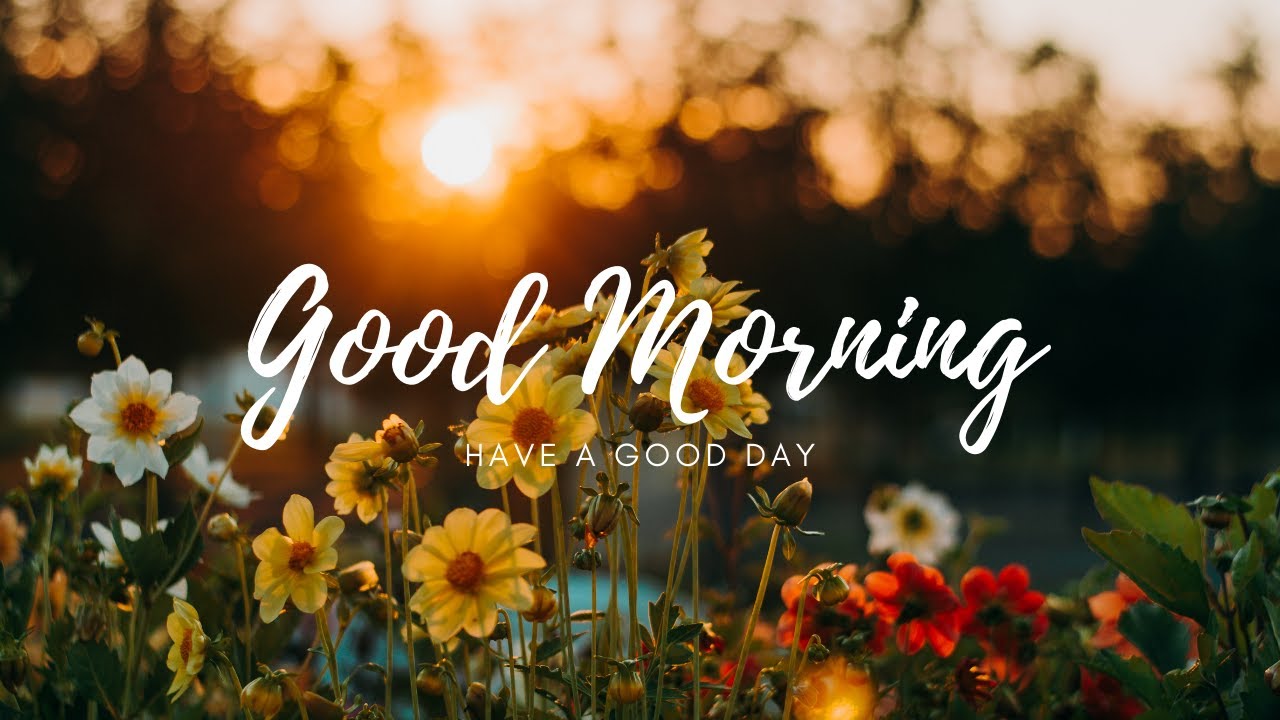 GOOD MORNING MUSIC - Music to Wake up - positive Energy vibration ...
