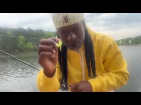 Solar Eclipse Fishing Report - YouTube