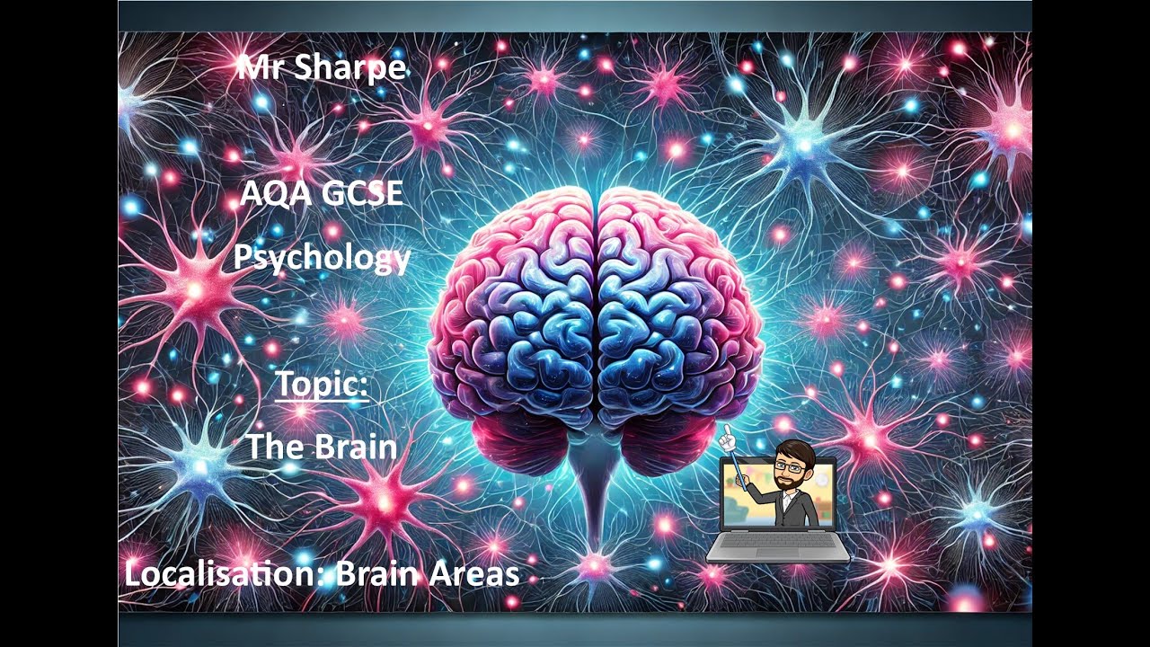 Brain Areas and Penfield Psychology GCSE AQA Revision Video - YouTube