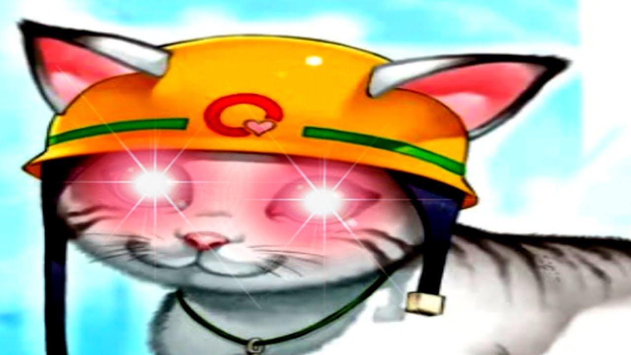 My teammate sent me an UNHINGED Synchro Cat Decklist - YouTube