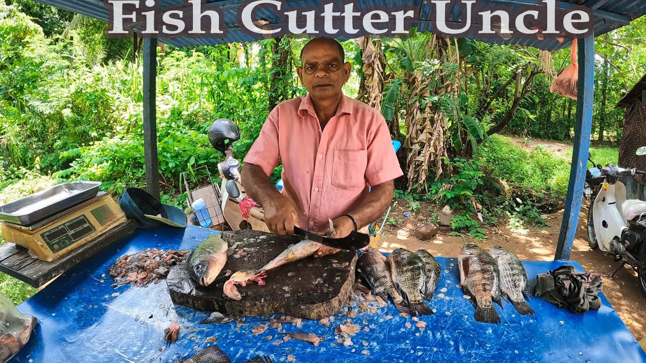 Live Fish Cutting Sri Lanka | Tilapia Fish #fishcutting #fishcutting ...