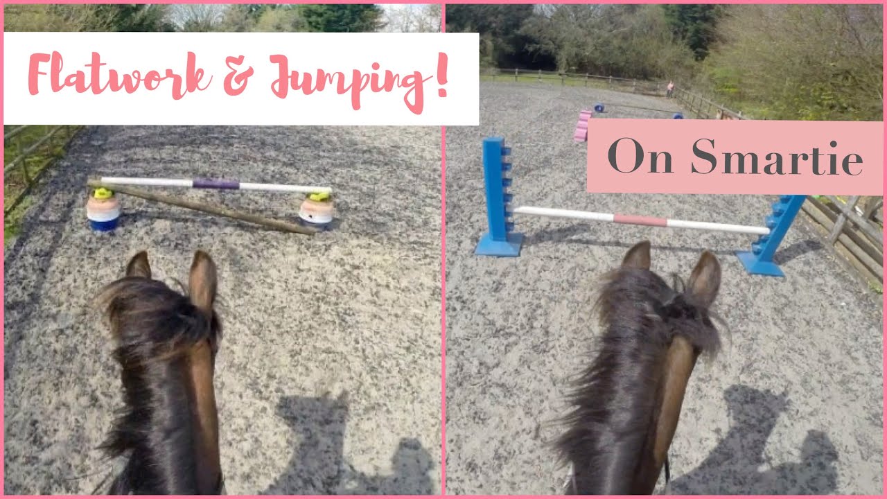 Flatwork & Jumping Lesson on Smartie! | Helmet Cam - YouTube