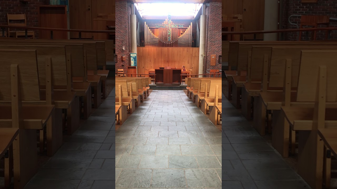 Hymn #191 (Lux eoi) Alleluia, alleluia! hearts and voices heavenward ...