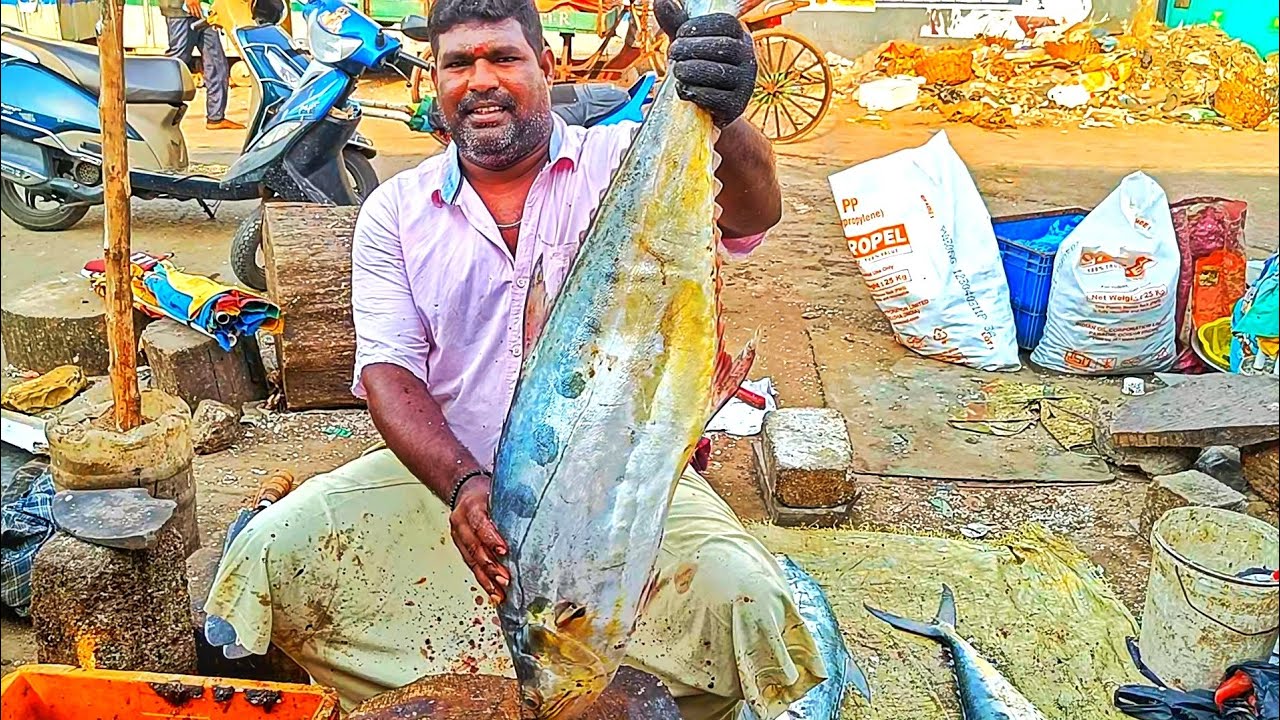 KASIMEDU MINNAL RAJA | YELLOW PARAI FISH CUTTING |4K VIDEO ...
