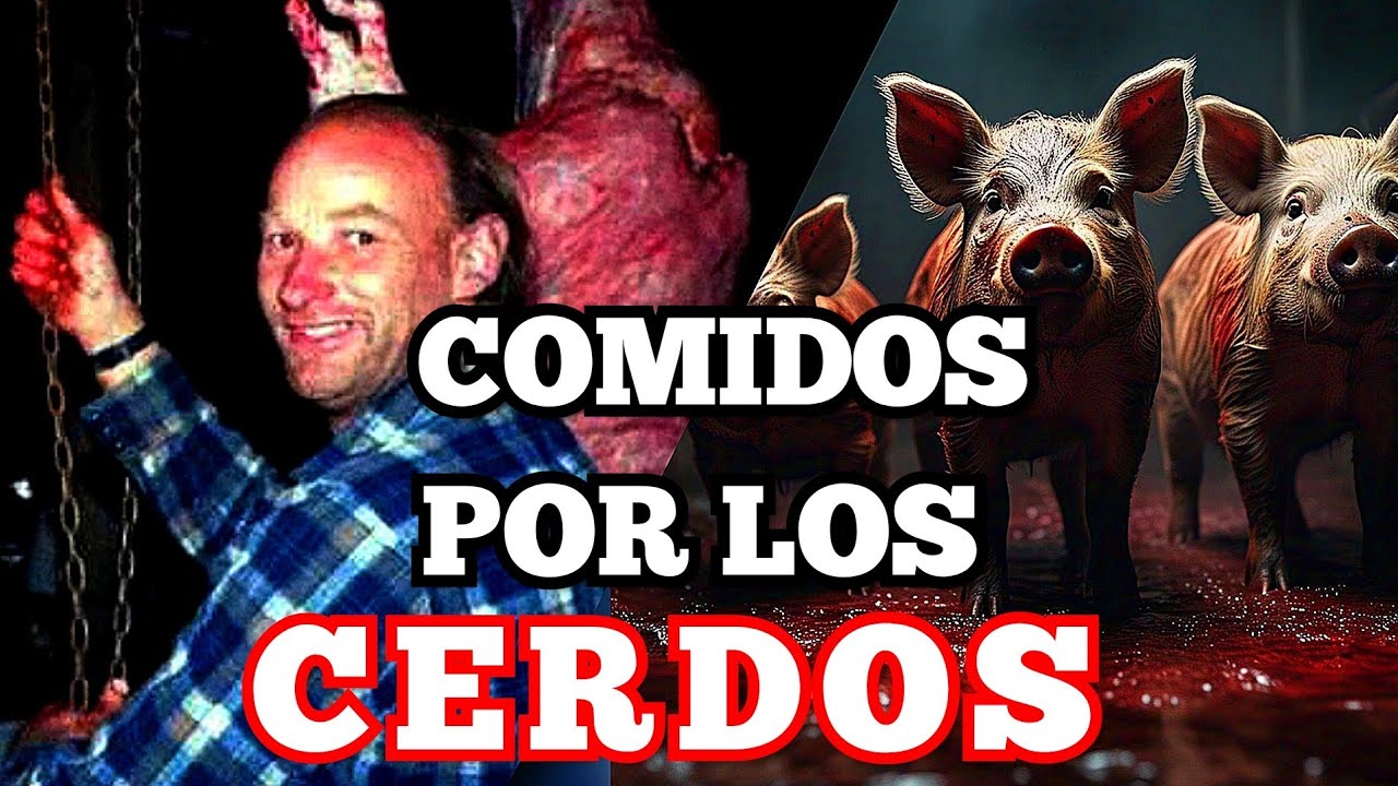 ESTE GRANJERO ALIMENTABA a sus CERDOS con CARNE de sus VICTIMAS, el ...