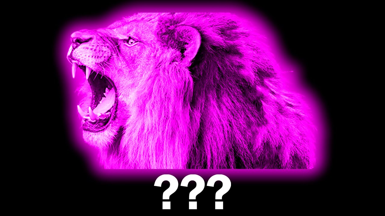 15 "Lion Roaring" Sound Variations in 30 Seconds - YouTube