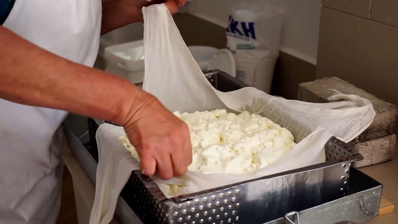 Making Fresh Sheep Cheese At The Klepalo Sheep Farm - Macedonia Tavel ...