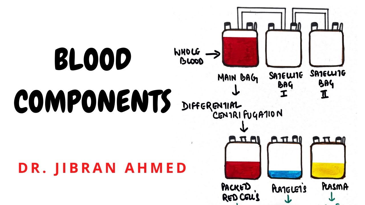 BLOOD COMPONENT II HEMATOLOGY II BLOOD BANKING II PATHOLOGY LECTURES II ...