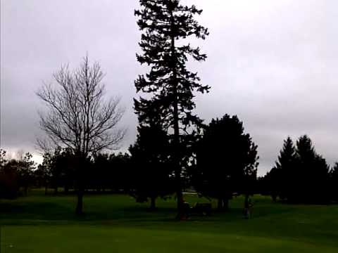 Truro golf course tree removal - YouTube