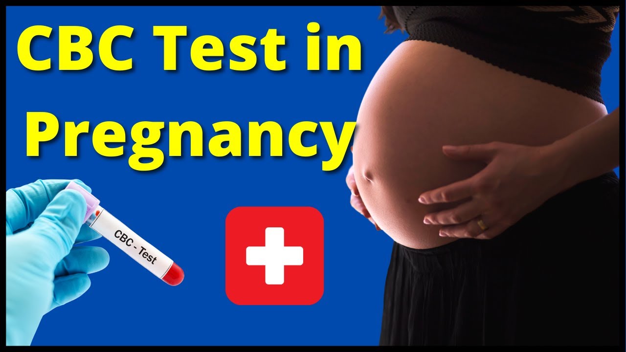 CBC in Pregnancy | Preparation, Procedure and Results Explained - YouTube