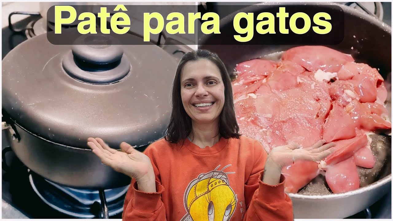 Como faço o patê caseiro para os gatos - YouTube