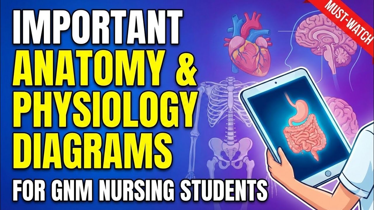 Anatomy And Physiology Important Diagrams | GNM 1st Year Important ...