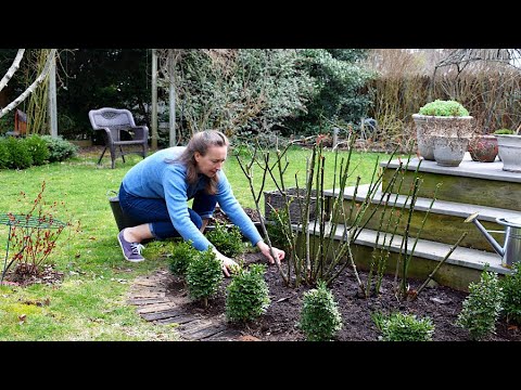 Spring: feeding ROSES, New Tablecloth and a great BOOK to read! - YouTube