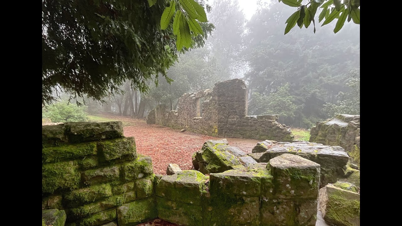 The Henry Miller Site, Mt. Madonna County Park - YouTube