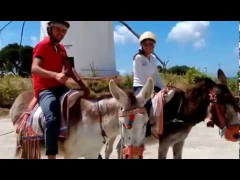 Juanino y sus burros en Vejer