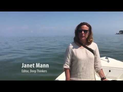 Janet Mann on How We Can Protect Dolphins and Whales - YouTube