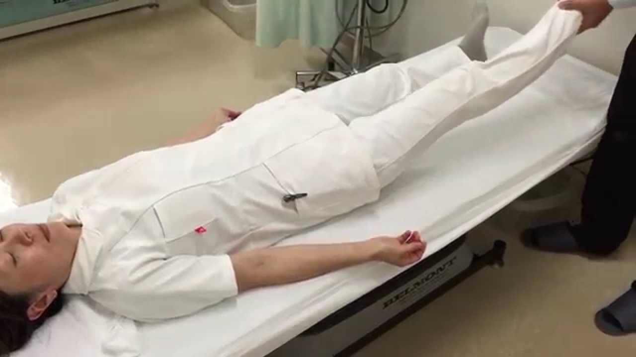 Real Anatomy Trains 2 - YouTube