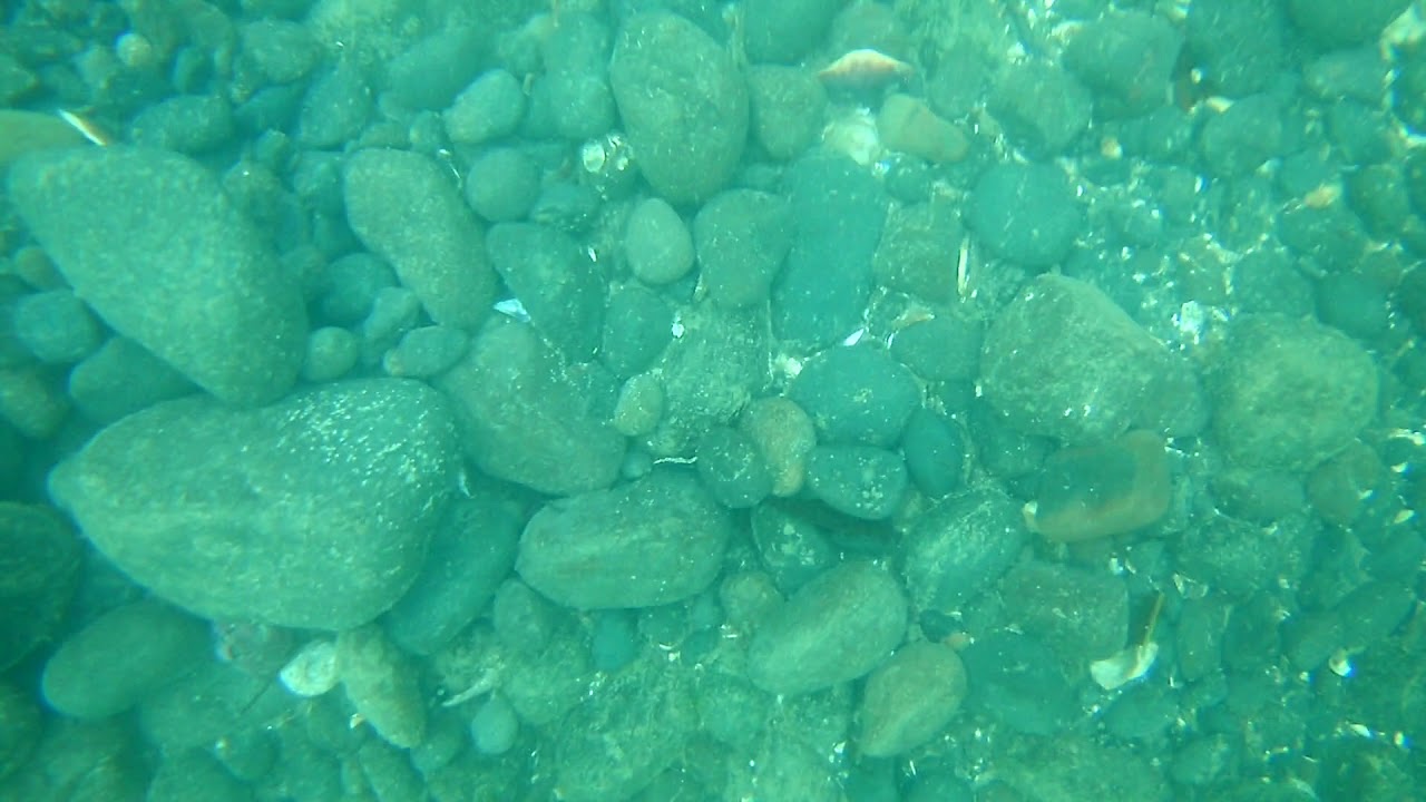 wainui diving christchurch 5 - YouTube