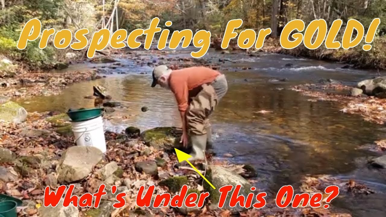 Gold Prospecting For Pennsylvania Gold - Back To Creek Between 2 ...