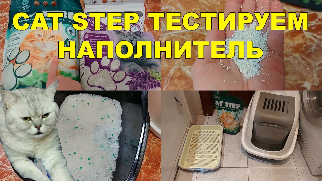 CAT STEP ТЕСТИРОВАНИЕ НАПОЛНИТЕЛЕЙ | CAT STEP СИЛИКАГЕЛЕВЫЙ И ...