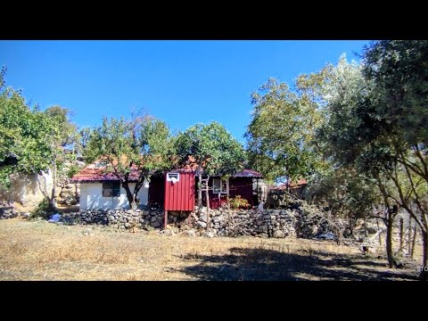 Trt belgesel esme 10 yılda neler değişti ❓