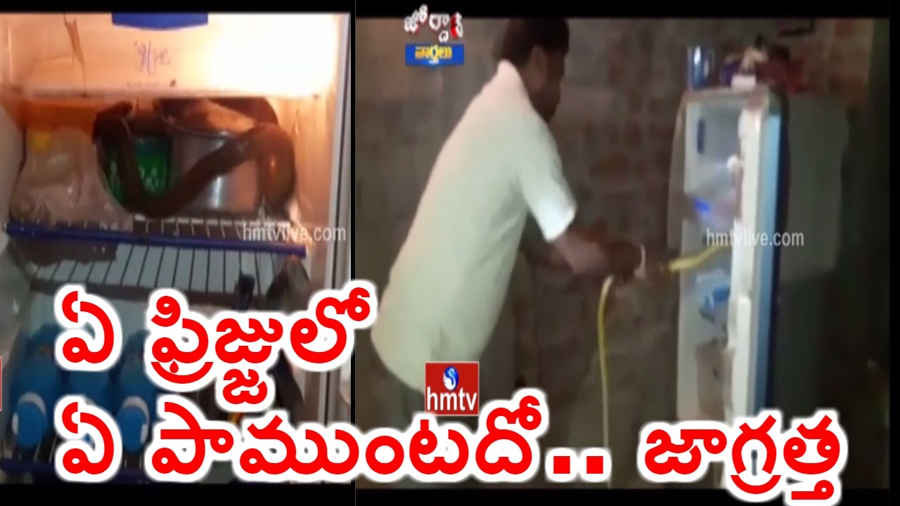 Snake Found In Fridge at Rajanna Sircilla | Jordar News | HMTV - YouTube