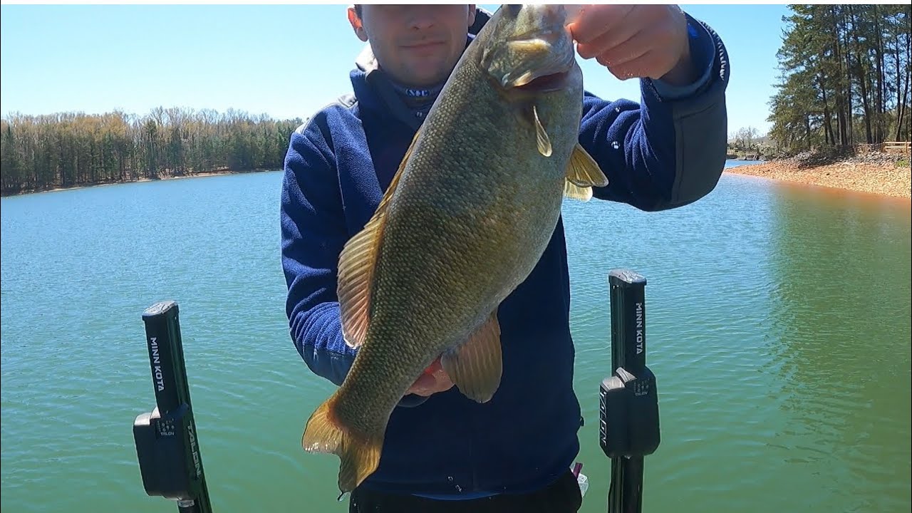 Smallmouth bass caught in the state of Georgia! Lake Blue Ridge Fishing ...