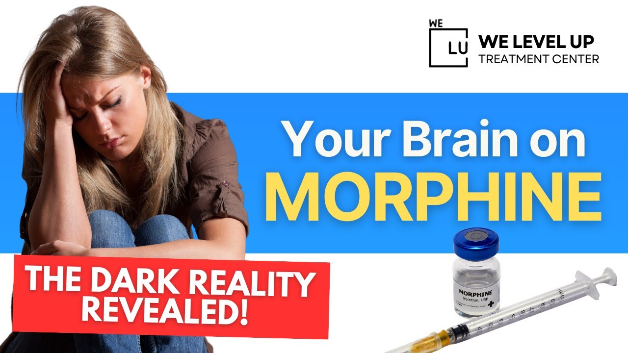 Chasing Euphoria: The Dark Reality of Morphine Highs - YouTube