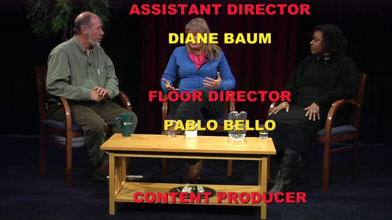 SEE-TV 11/19/2014 Modern Misogyny: Harassment by Stephen Durst with Anne Schweizer & Chaka ...