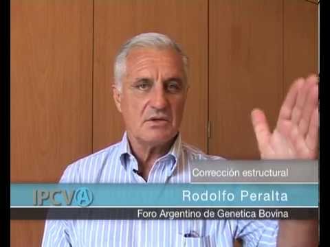 138 - "Corrección estructural", Rodolfo Peralta (13/06/2014) - YouTube
