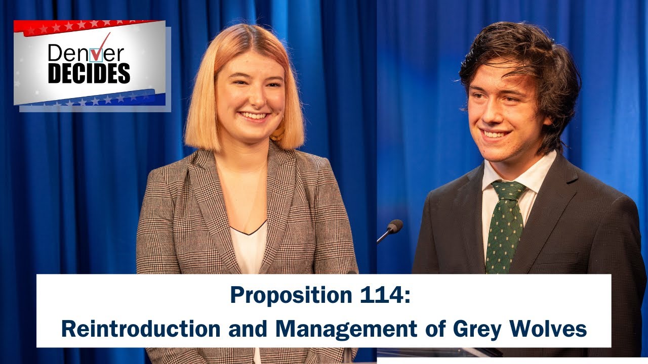 Denver Decides: Proposition 114: Reintroduction and Management of Grey ...