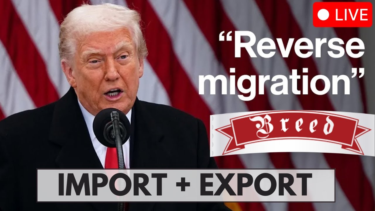 Reverse Migration & Breeding Visa (LIVE) - YouTube