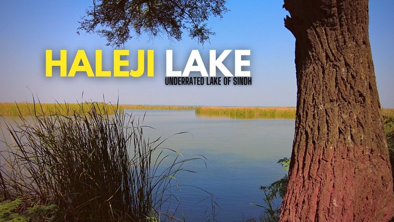 🚗 Trip To Haleji Lake | Underrated Tourist Place Of Karachi Sindh - YouTube
