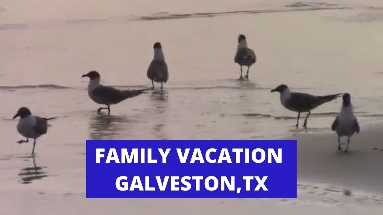 Spring Break 2021, Galveston, TX Family Vacation - YouTube