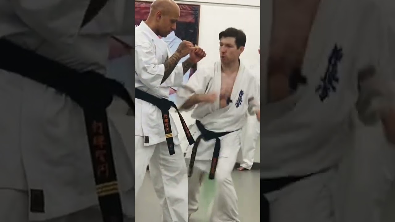 HIGH KICK fight COMBINATION in KYOKUSHIN karate👊 - YouTube