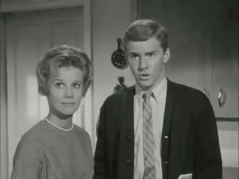 Remembering The Cast From HAZEL 1961 - YouTube