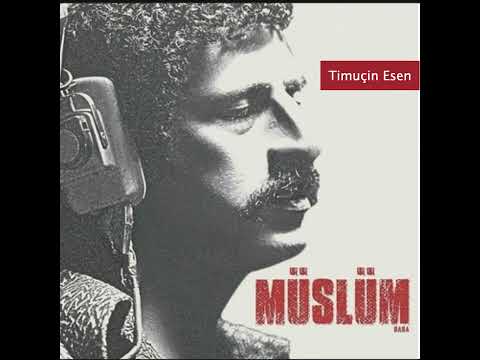 Nilüfer · Timuçin Esen · Murathan Mungan · Sunay Özgür