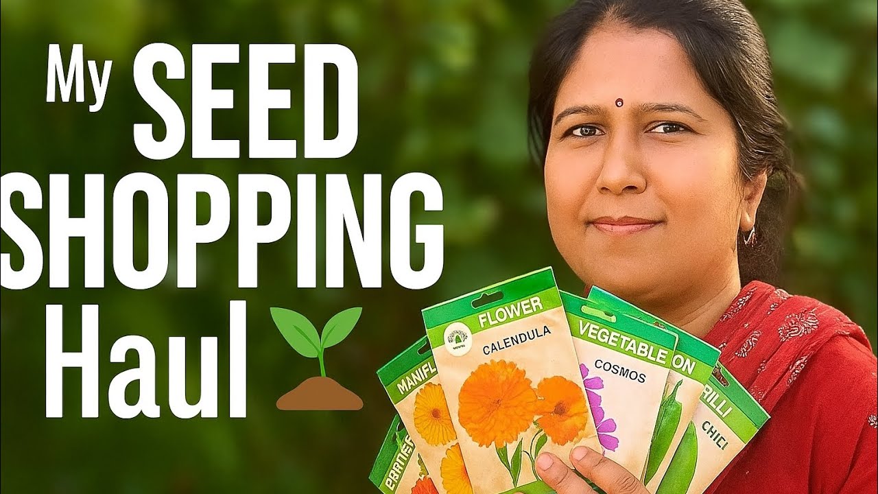 "Seed Shopping Haul 🌱 | Beginners के लिए Best Vegetable & Flower Seeds ...