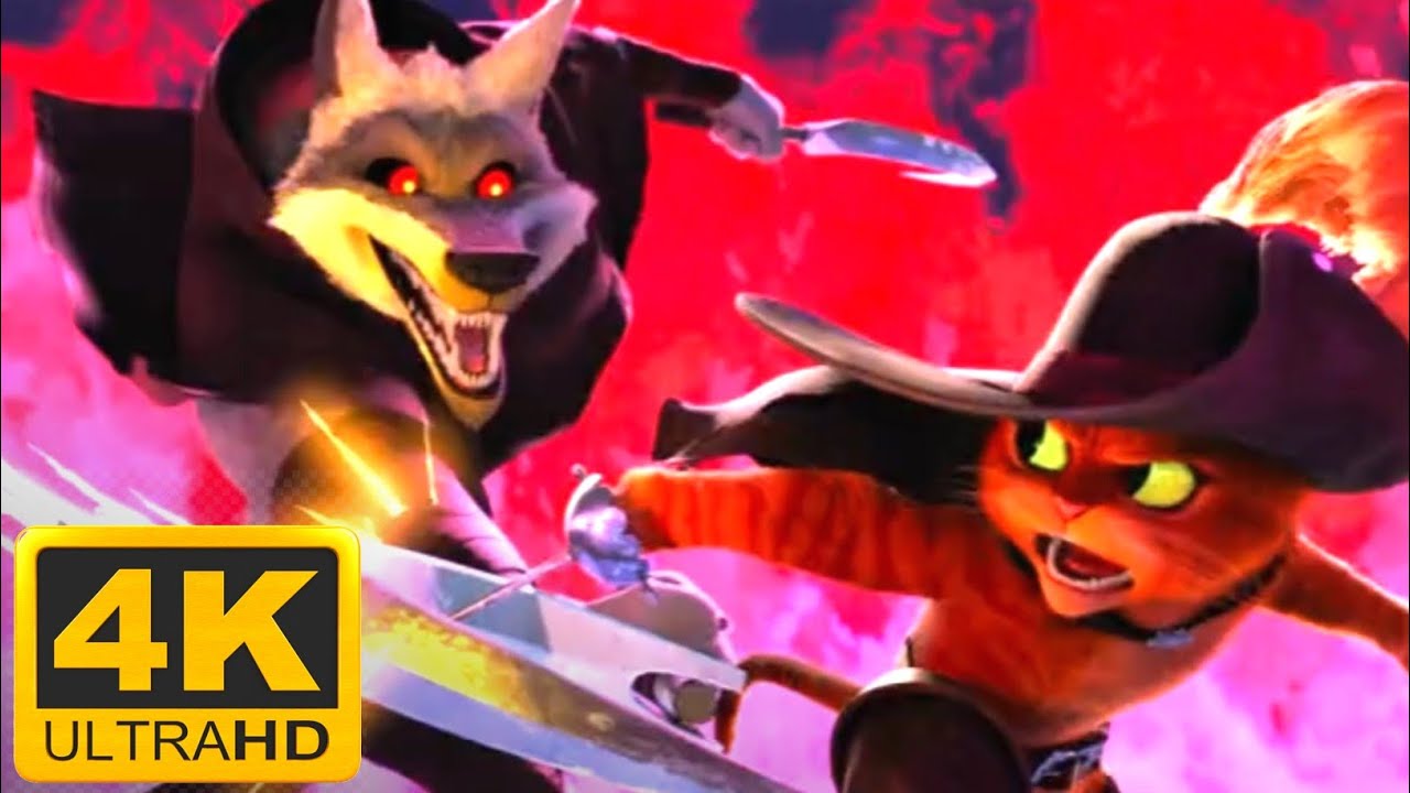 Cat Loses Eight of His Lives Out of Nine And Fights Death For Getting ...