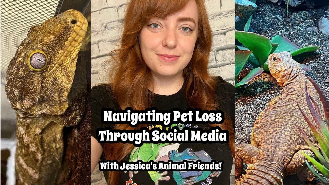 Navigating Pet Loss Through Social Media: featuring Jessica's Animal ...