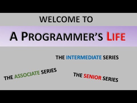 Welcome to A Programmers Life! - YouTube