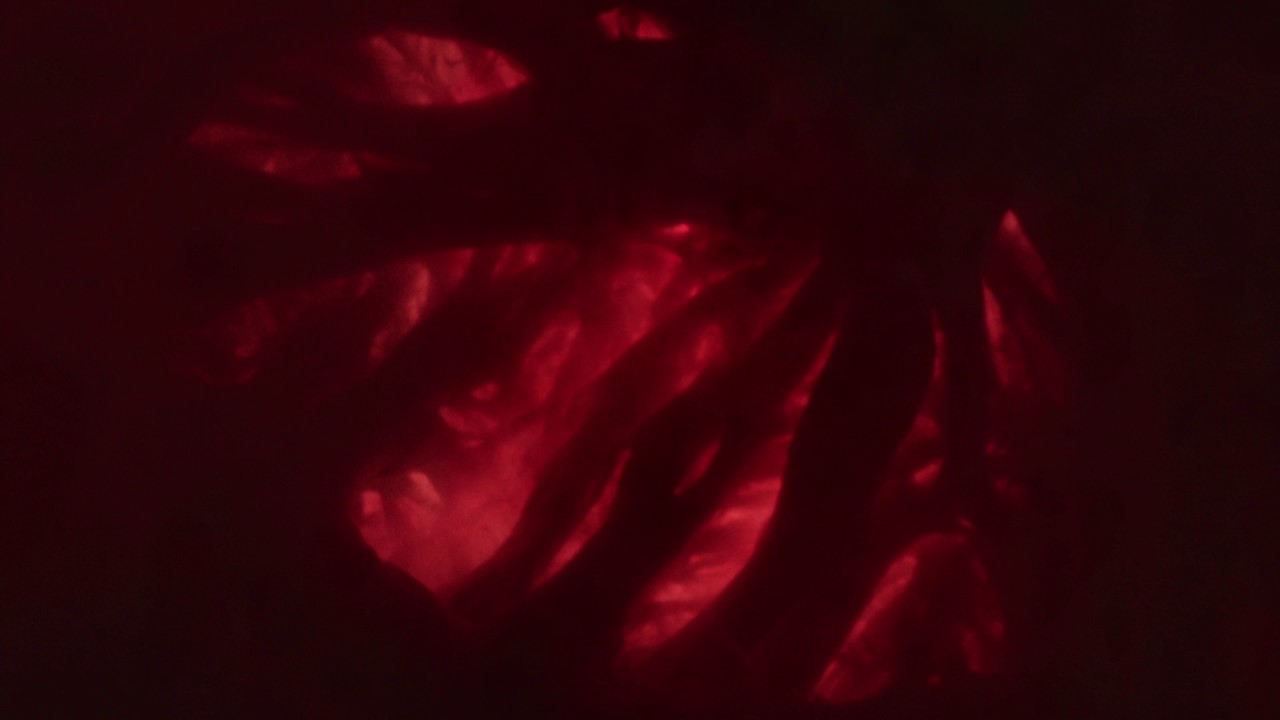 'Alien: River of Pain' Trailer | An Audible Original Drama - YouTube