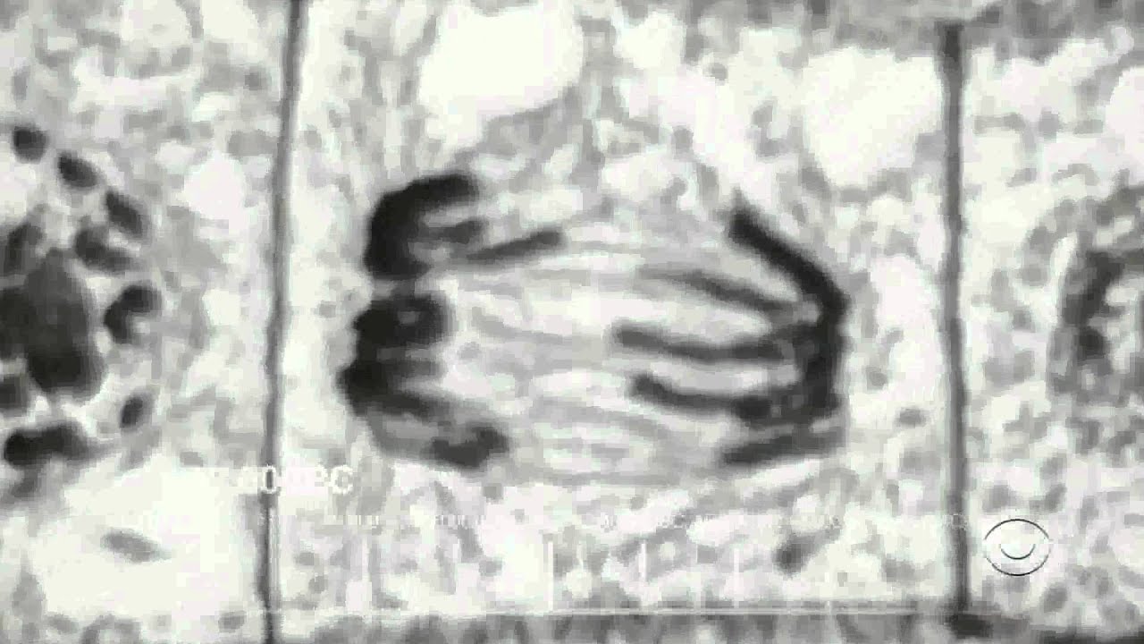 The Big Bang Theory - Opening with lyrics - YouTube