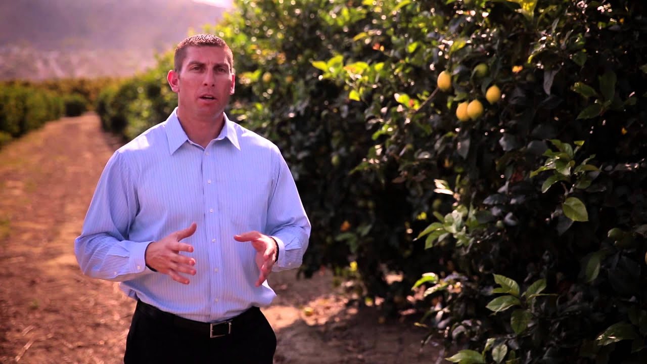 Essentials Lemon RUS - YouTube