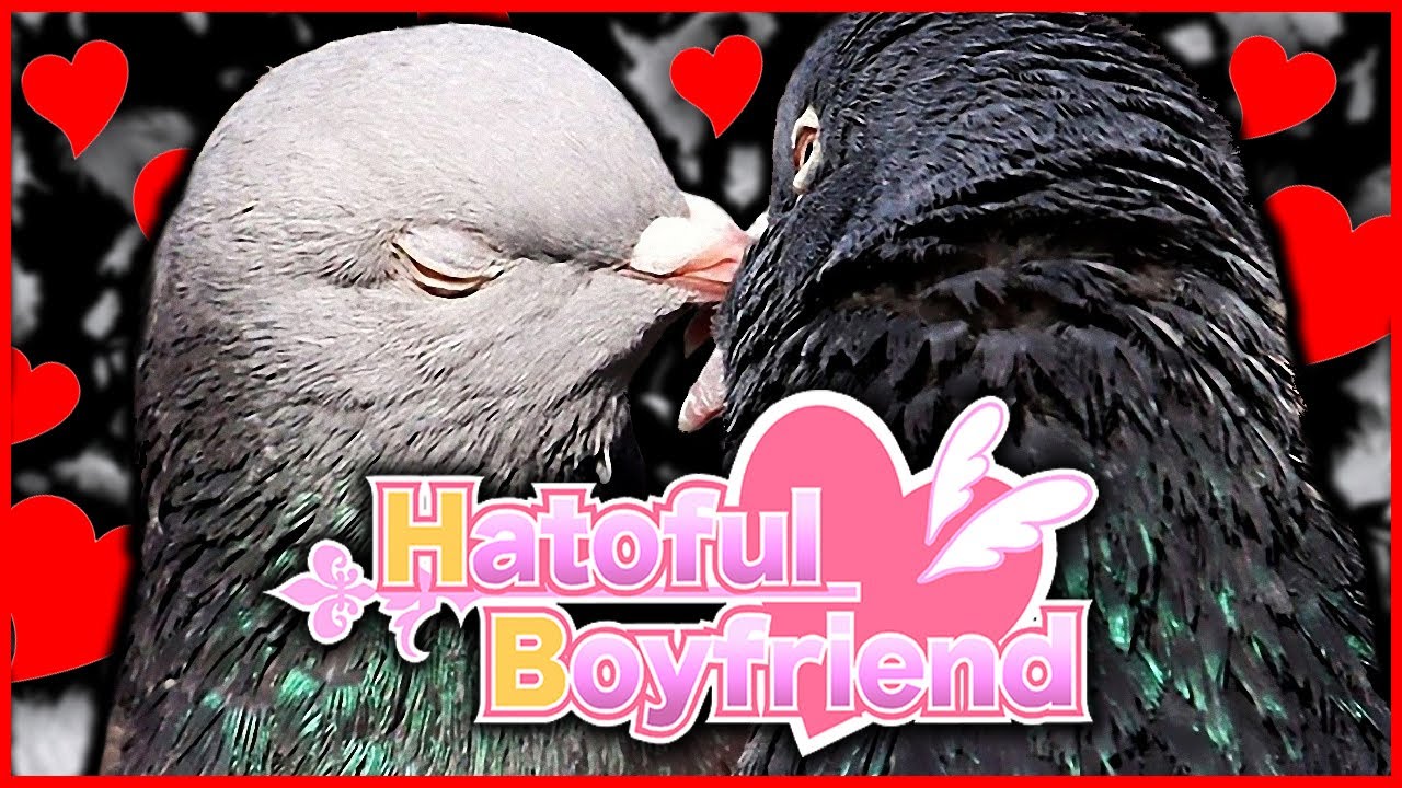 PIGEON DATING SIMULATOR - Hatoful Boyfriend #1 - YouTube