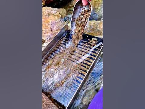 Gold aus der 29. Folge Goldsuchen in Deutschland! 🌟💥 #goldwaschen #goldwaschenindeutschland # ...