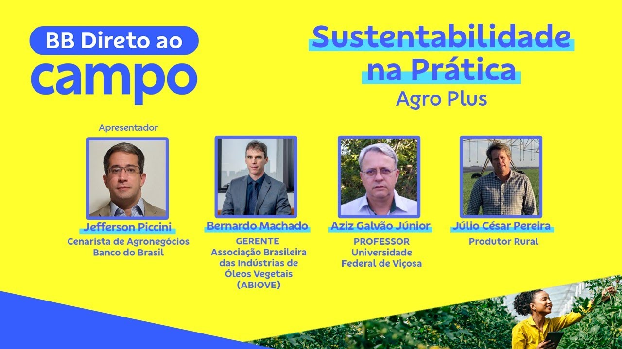 Sustentabilidade na Prática - Agro Plus | BB Direto ao Campo - YouTube
